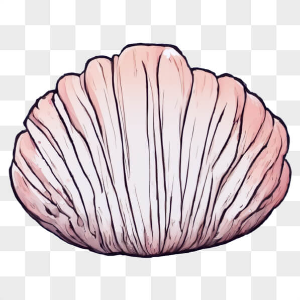 Baixe Ilustração Detalhada de uma Concha Cartoons - Creative Fabrica