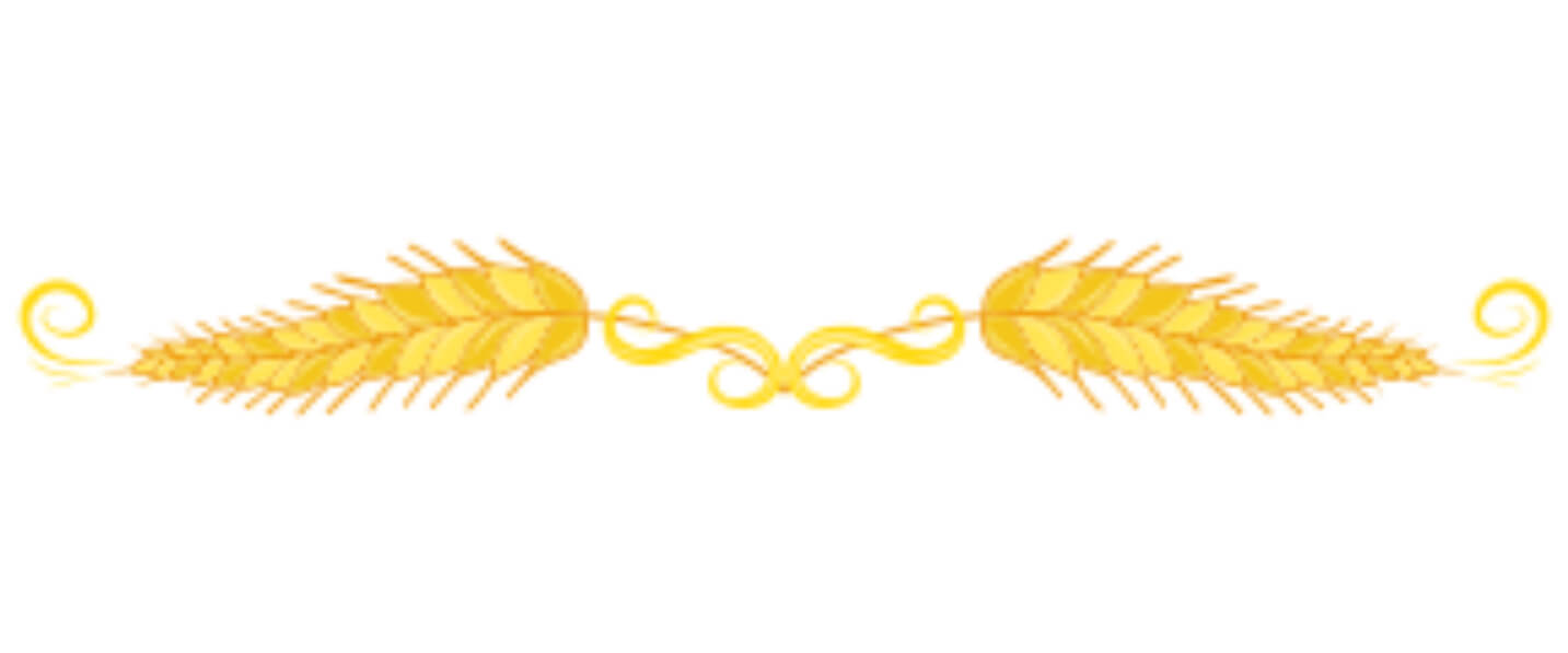 Download Golden Wheat Leaf Decorative Border Design Borders & Corners ...