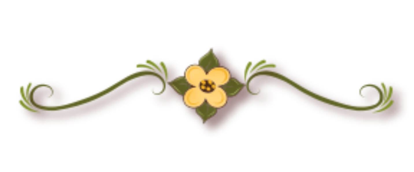 Download Decorative Floral Divider Borders & Corners Online - Creative ...
