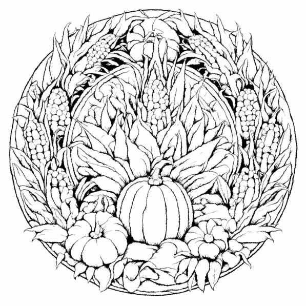 Download Autumn Vegetable Illustration Coloring pages Online - Creative ...