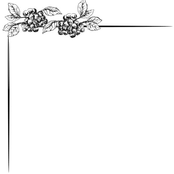 Download Elegant Grapevine Border Illustration Borders & Corners Online ...