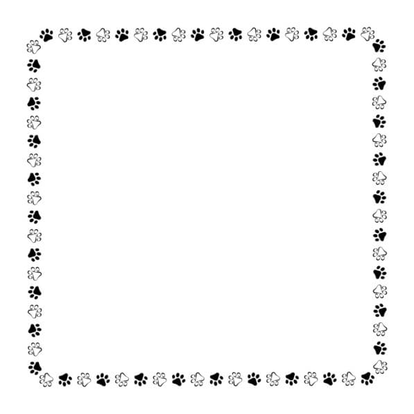 Download Paw Print Border Frames Online - Creative Fabrica