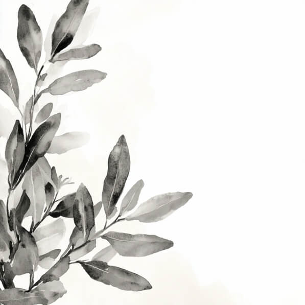 Scarica Illustrazione di rami ad acquerello Sfondi Online - Creative ...