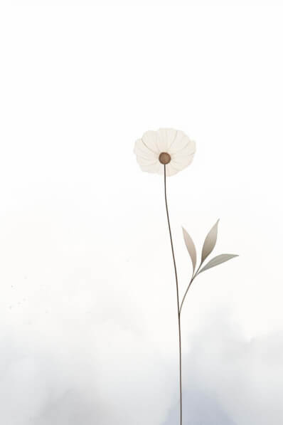 Descarga Ilustración de flor minimalista Fondos En Línea - Creative Fabrica