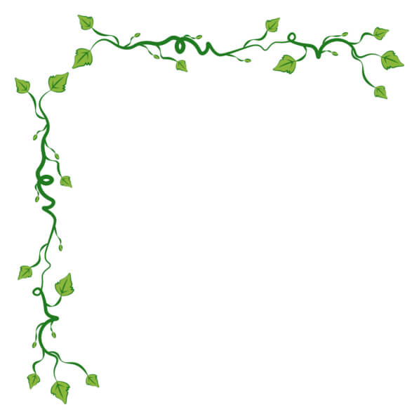 Download Decorative Green Vines and Leaves Border Borders & Corners ...