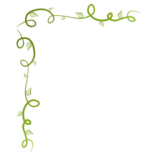 Download Decorative Green Vine Design Borders & Corners Online ...