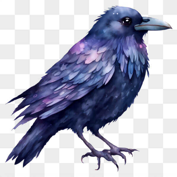 Download Cosmic Raven Illustration Cartoons Online - Creative Fabrica