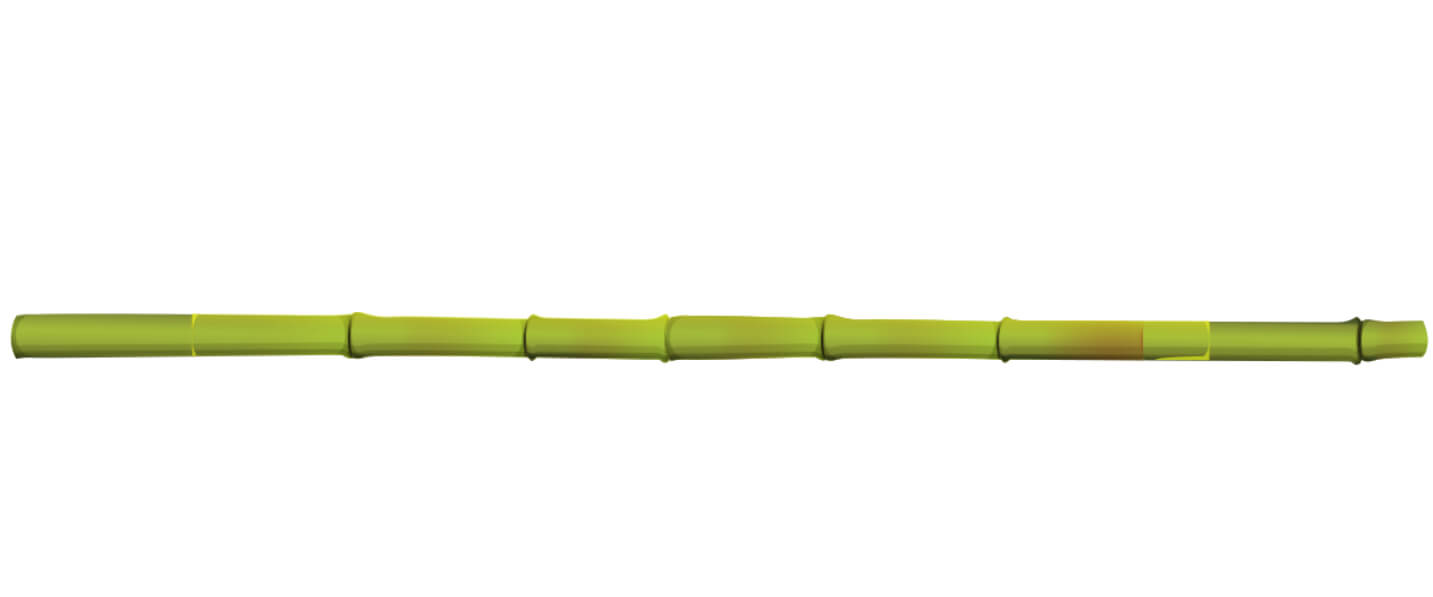 Download Single Green Bamboo Stalk Borders & Corners Online - Creative ...
