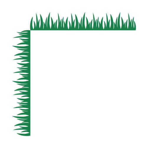 Grass - Download Free & Premium Transparent Grass Images Online ...
