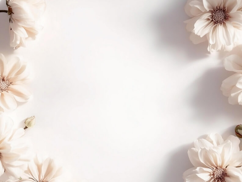 Download Soft Pale Flowers on White Background Backgrounds Online ...