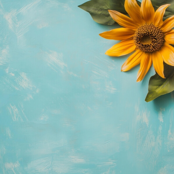 Download Sunflower on Turquoise Background Backgrounds Online ...