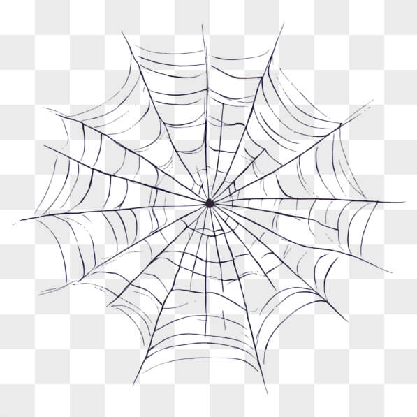 Download Intricate Spider Web on Black Background Cartoons Online ...
