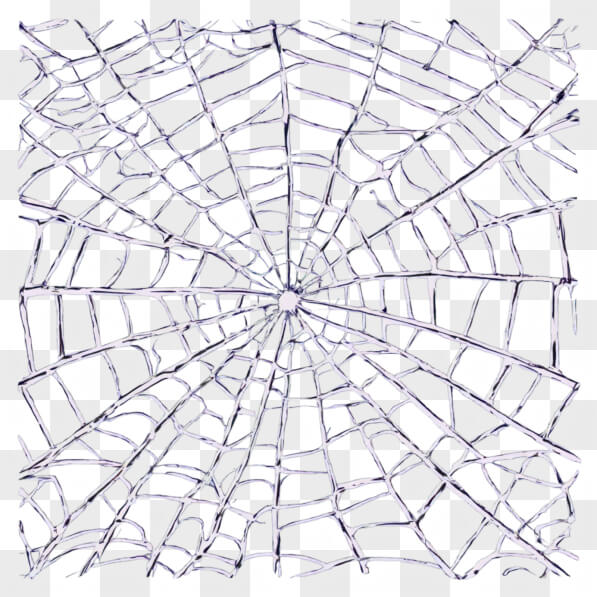 Scarica Ragnatela Intricata su Sfondo Nero Cartoni animati Online ...