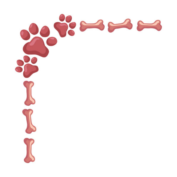 Download Paw Print and Bone Decorative Border Borders & Corners Online ...
