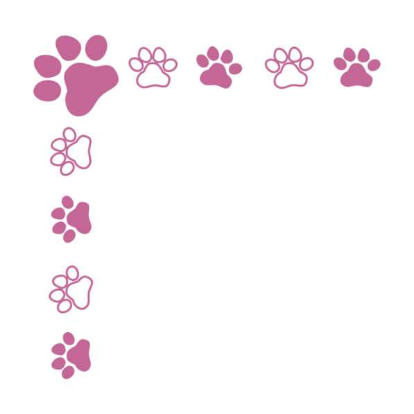 Download Pink Paw Prints on White Background Borders & Corners Online ...