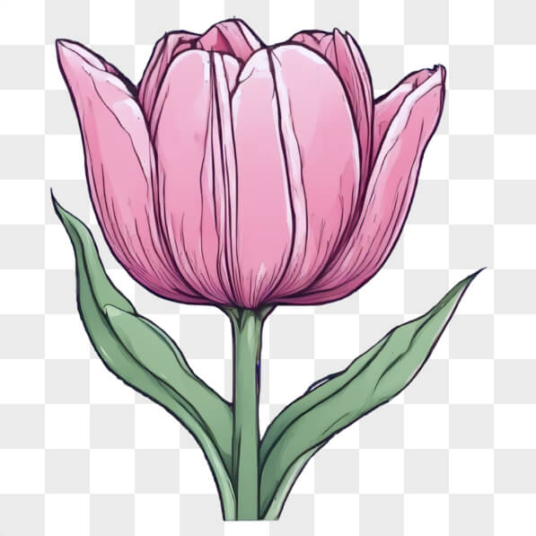 Download Illustration of a Pink Tulip Cartoons Online - Creative Fabrica
