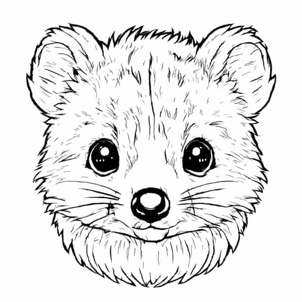 Download Cute Animal Face Illustration Coloring pages Online - Creative ...
