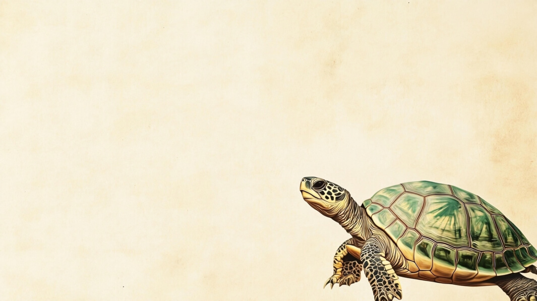 Download Illustrated Turtle on Beige Background Backgrounds Online ...