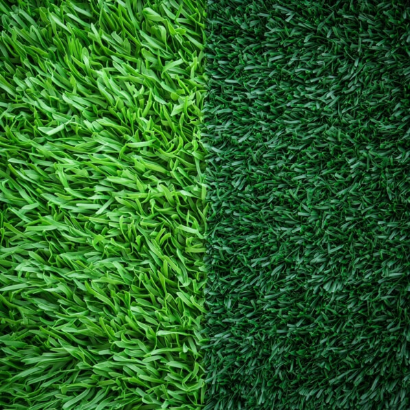Download Two Types of Grass with Contrasting Textures Backgrounds ...