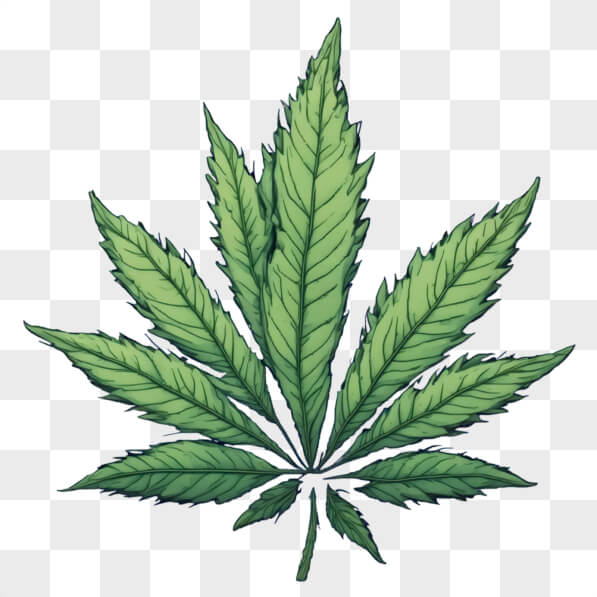 Download Illustration of Cannabis Leaf Cartoons Online - Creative Fabrica