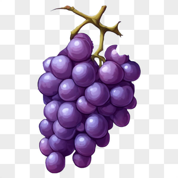 Descarga Racimo de uvas moradas Cartoons En Línea - Creative Fabrica
