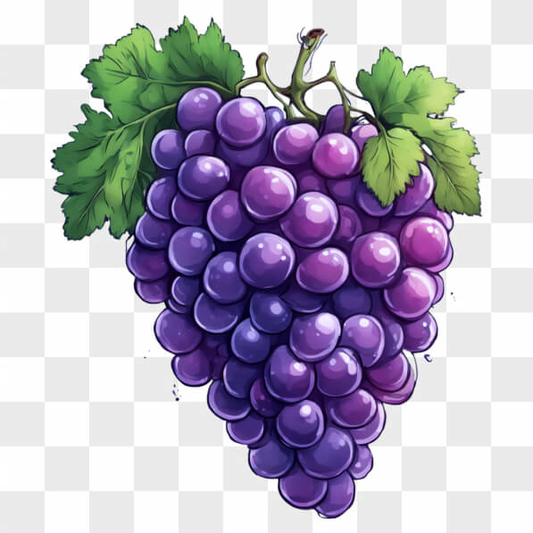 Descarga Ilustración de uvas Cartoons En Línea - Creative Fabrica
