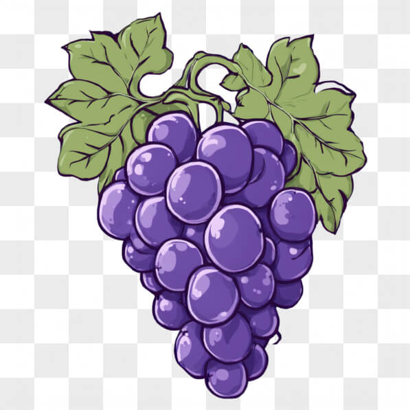 Descarga Racimo de uvas moradas Cartoons En Línea - Creative Fabrica