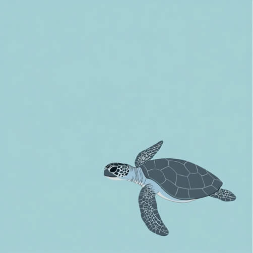 Sea Turtle Backgrounds - Download Free & Premium Transparent Sea Turtle ...
