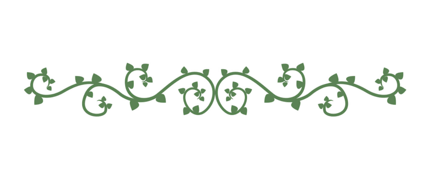 Download Decorative Green Vine Border Borders & Corners Online ...