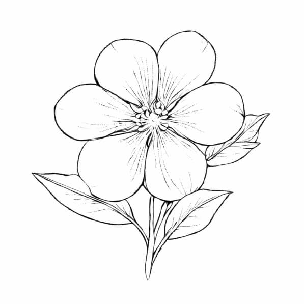Download Intricate Line Drawing of a Flower Coloring pages Online ...