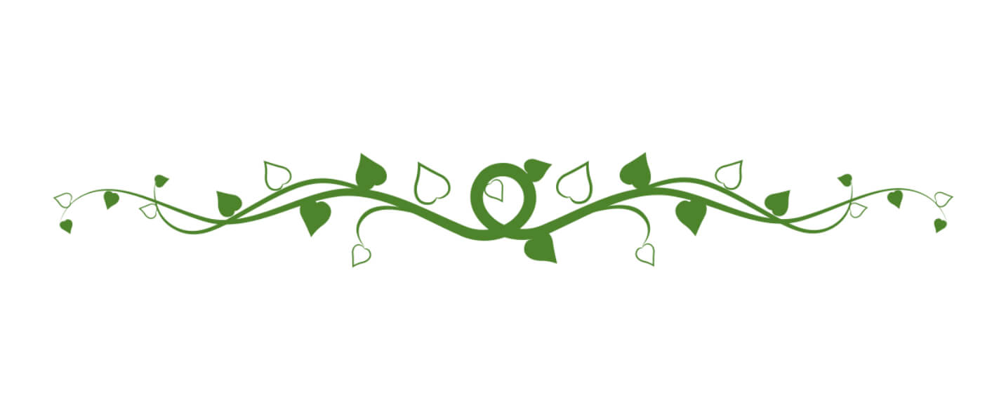 Download Elegant Green Vine Design Borders & Corners Online - Creative ...