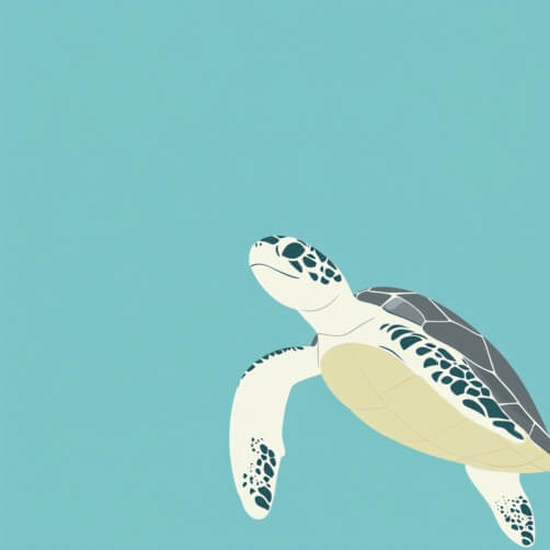 Sea Turtle Backgrounds - Download Free & Premium Transparent Sea Turtle ...