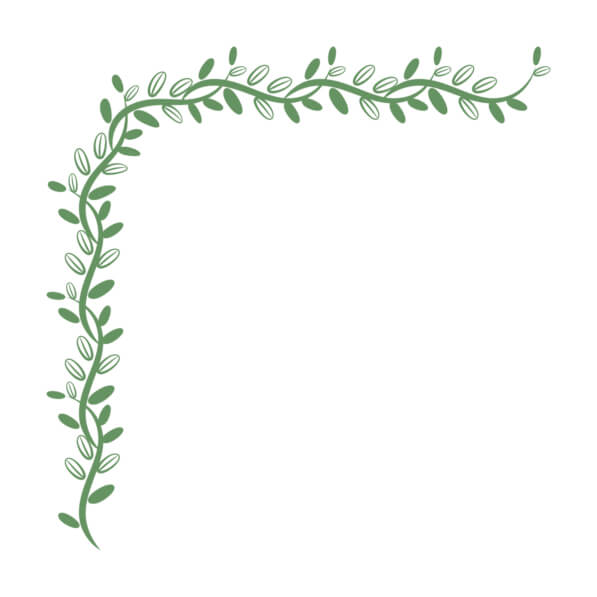 Download Decorative Green Vine Design Borders & Corners Online ...