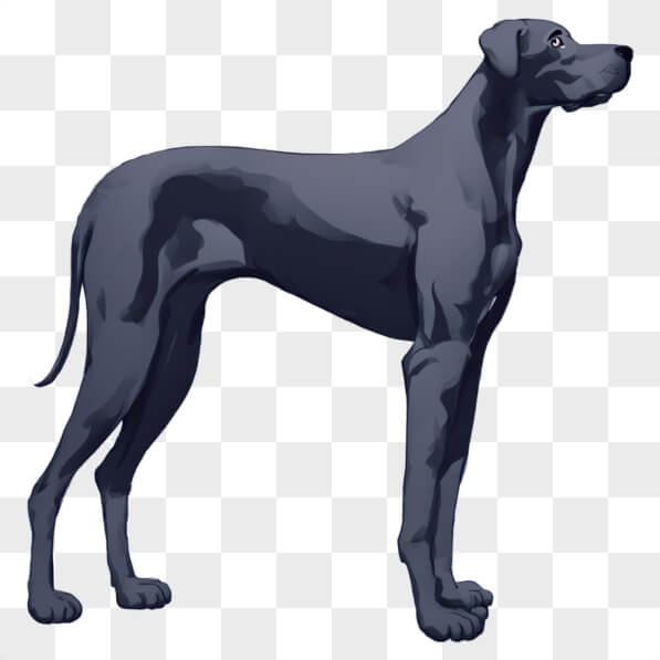 Download Great Dane Standing Proudly Cartoons Online - Creative Fabrica