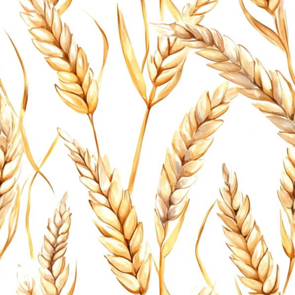 Download Watercolor Wheat Illustration Patterns Online - Creative Fabrica