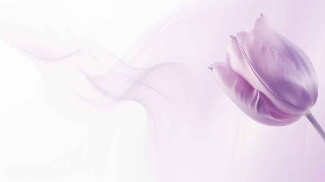 Download Elegant Purple Tulip with Ethereal Background Backgrounds ...