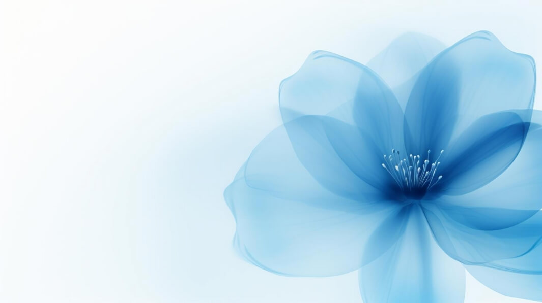 Descarga Flor azul claro delicada sobre fondo blanco Fondos En Línea ...