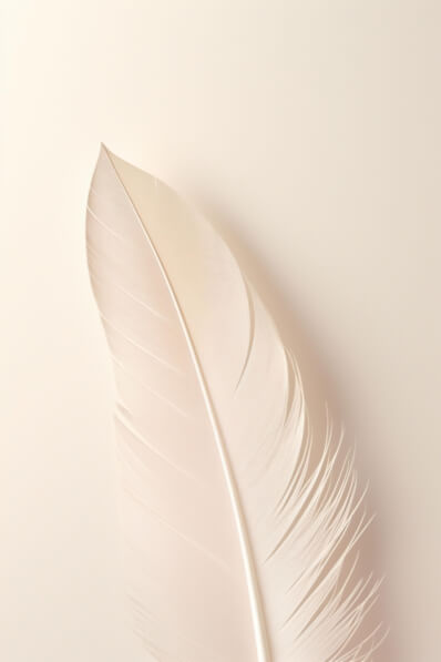 Download Delicate Feather on Soft Background Backgrounds Online ...
