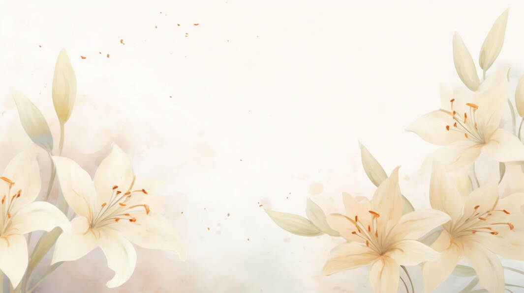 Download White Lilies on Soft Background Backgrounds Online - Creative ...