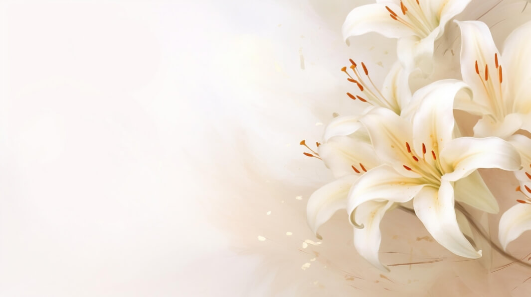 Download Elegant White Lilies on a Soft Background Backgrounds Online ...