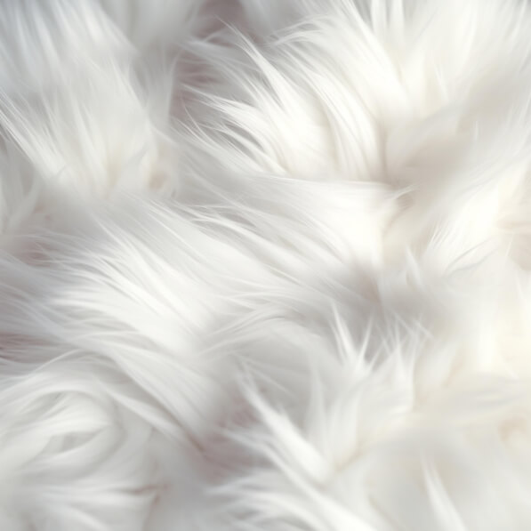 Download Soft White Fluffy Texture Backgrounds Online - Creative Fabrica