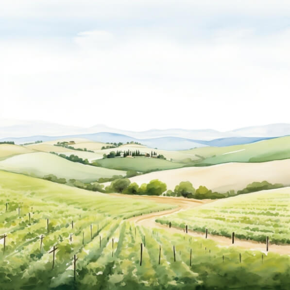Scarica Colline ondulate e vigneti Sfondi Online - Creative Fabrica