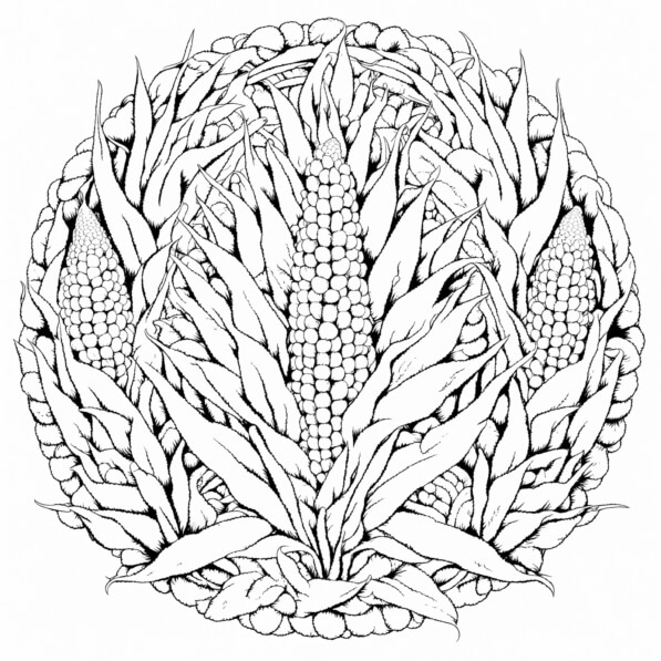 Download Intricate Illustration of Corn Plants Coloring pages Online ...