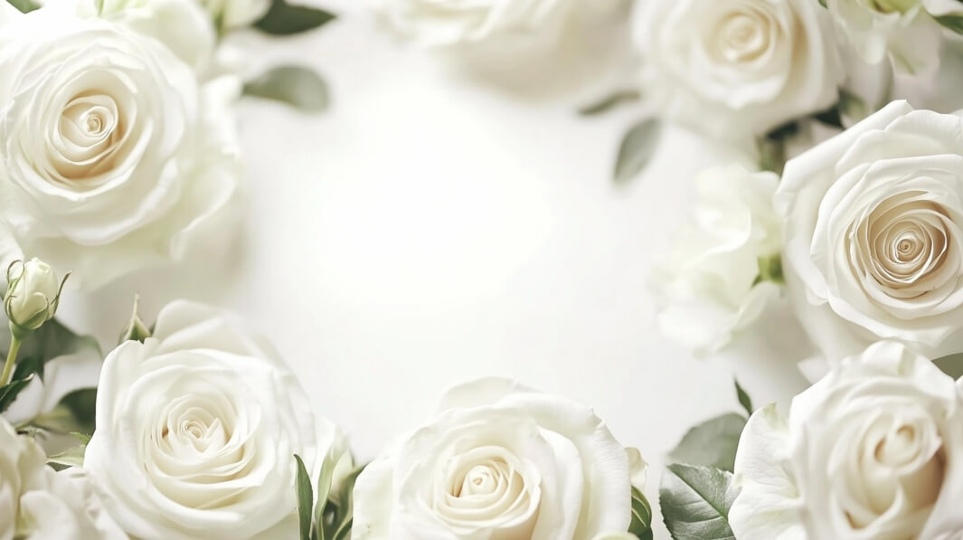 Download Elegant White Roses Arrangement Backgrounds Online - Creative Fabrica