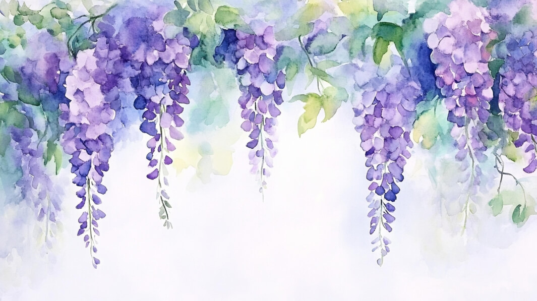 Download Watercolor Wisteria Flowers Backgrounds Online - Creative Fabrica