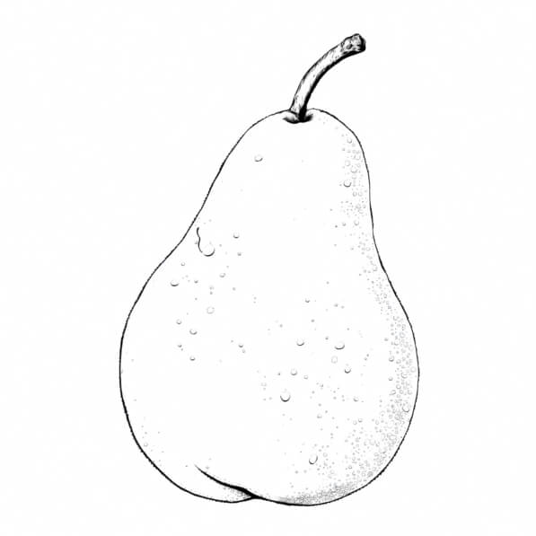 Descarga Ilustración de una Pera Fresca Páginas para colorear En Línea ...