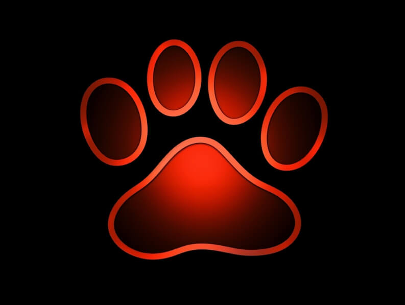 Download Stylized Red Paw Print on Black Background Backgrounds Online ...