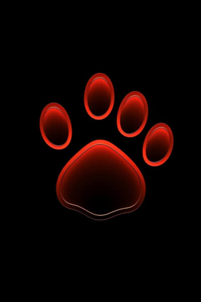 Download Stylized Red Paw Print on Black Background Backgrounds Online ...