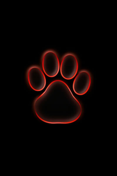 Download Stylized Red Paw Print on Black Background Backgrounds Online ...