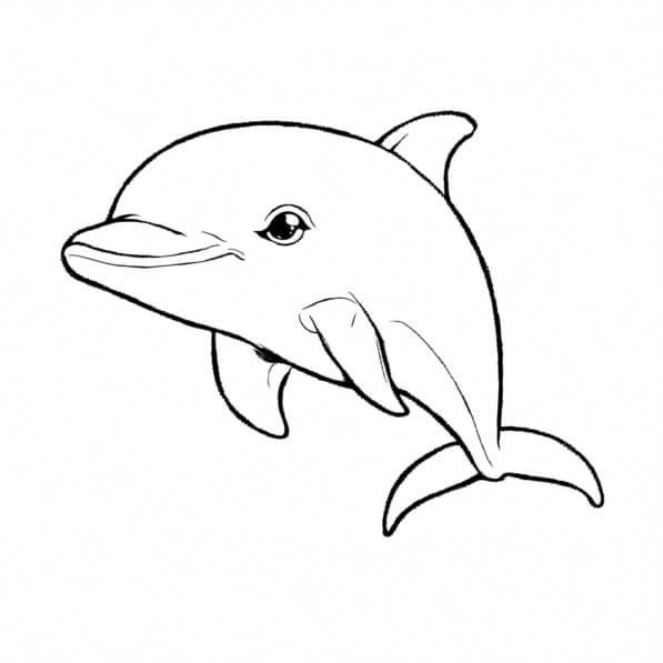 Download Playful Dolphin Illustration Coloring pages Online - Creative ...